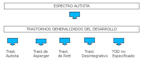 Principios básicos de aprendizaje para padres de niños con TEA/TGD